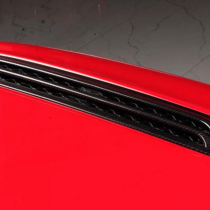 FL5 Type R OEM style Carbon Fiber Hood Vent Trim – SYNTH Carbon